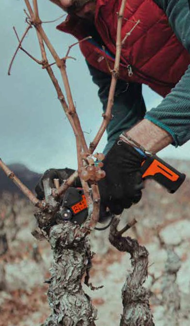 PRODUCTOS DE LA SEMANA | Mainfer